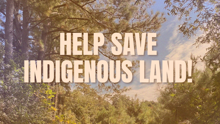 Fundraiser by Ashley Salaz : Help Save Indigenous Land!