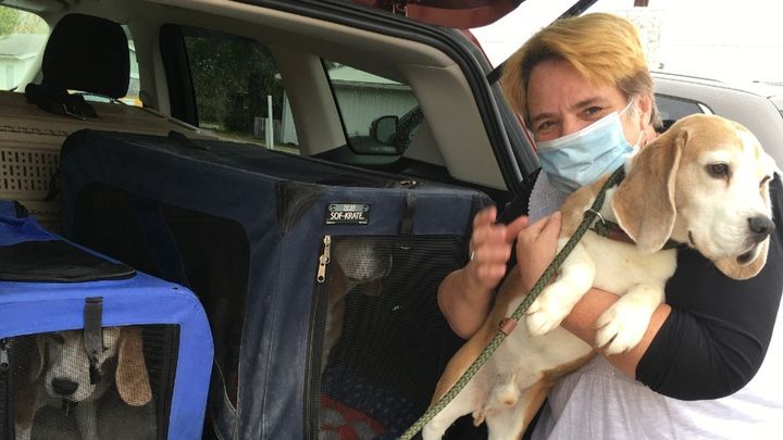 Fundraiser by KATHY MANISCALCO : Carol Rutherford Dog Fund