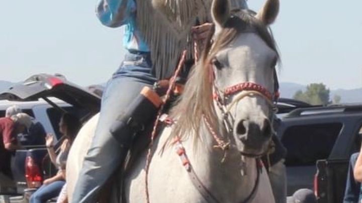 Fundraiser for Lanelle White-Newton by Tiffany Sherrill : Shane ...