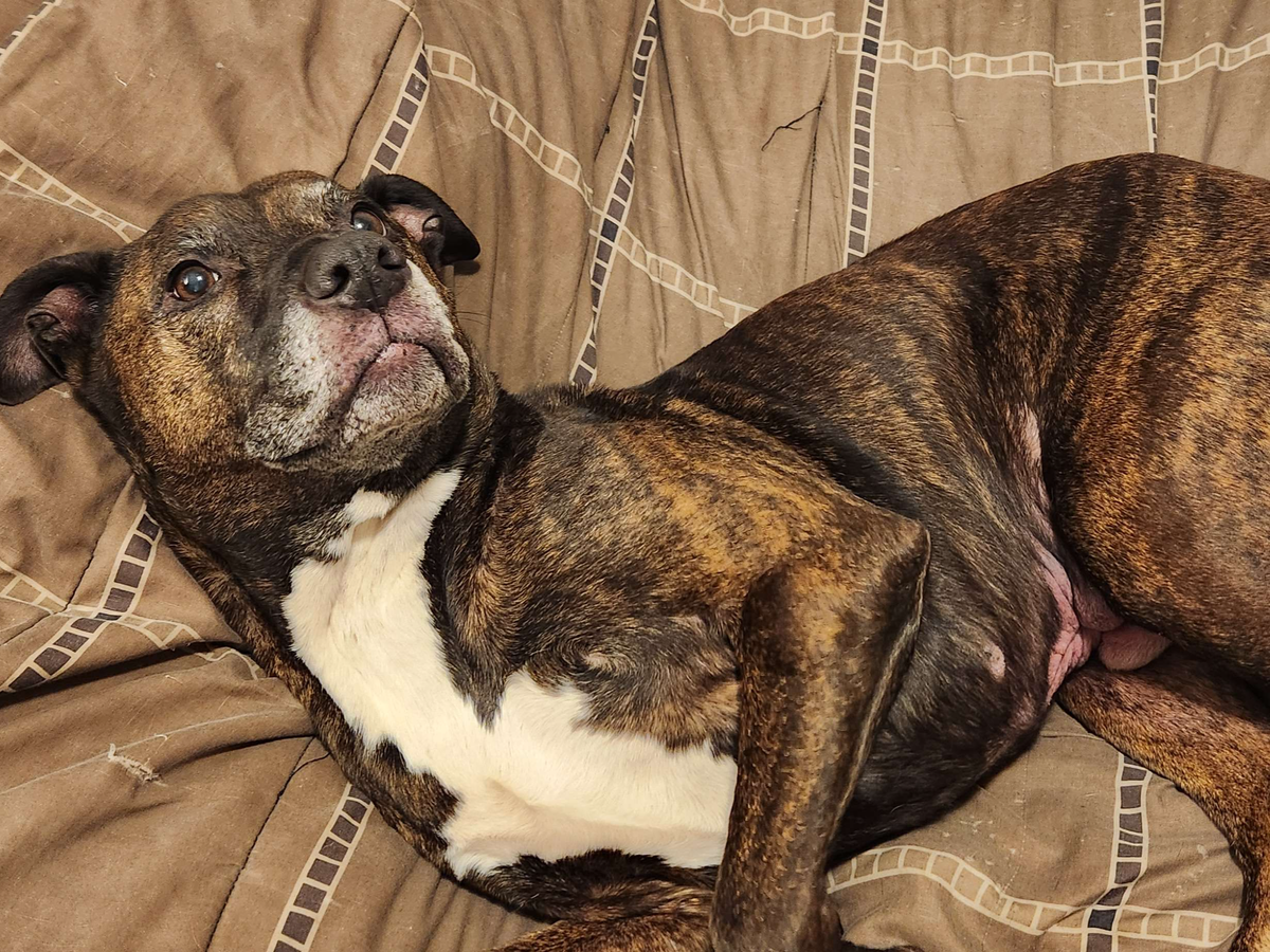 Fundraiser by Robert Shelton : Support Robby’s Family with Rent and Bills