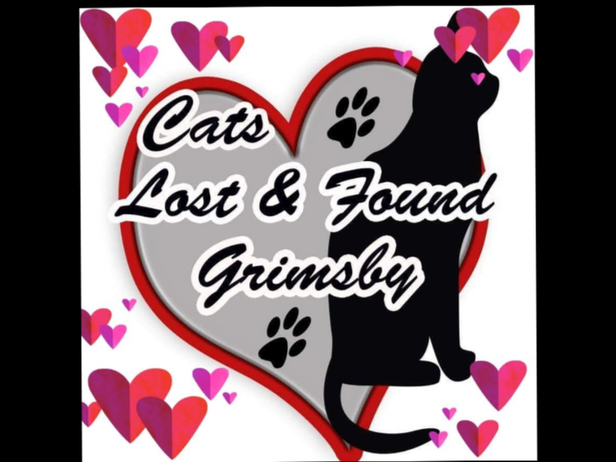 Fundraiser by Richard Memczak : Kayaking for Cats