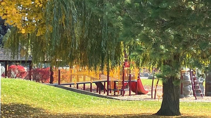 Fundraiser by Molly McCahon : Save Travers Park