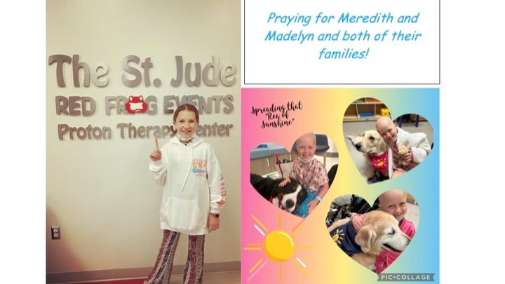 Fundraiser by Brian Palliser : No Shave November Benefiting Meredith ...