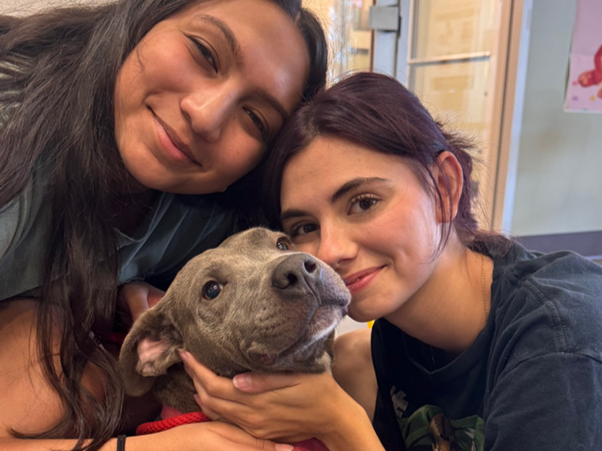 Fundraiser by Sarah Pruitt Messick : Help Lorraine Beat Heartworms