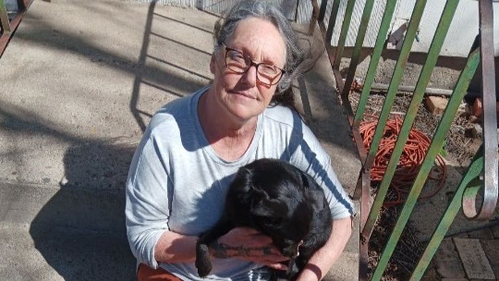 Recaudación de fondos para Mandy Hendricks de smarmy bisexual : Help ...