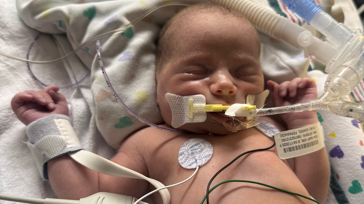 Fundraiser for Kailee Bivin by Kelly Vicknair : NICU & PICU Twins: Help ...