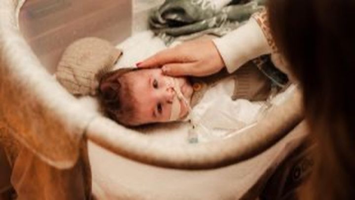 Fundraiser by Victoria Nash : Sweet Baby Brewer