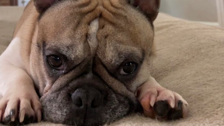 Fundraiser by Hannah Victoria Bewley : Support Julian's Journey from ...