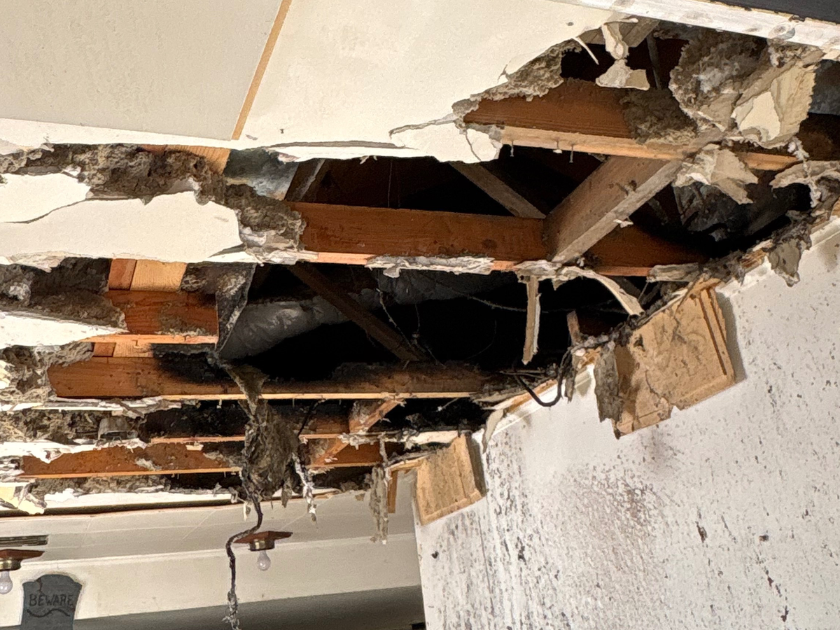 Fundraiser by Taren Beeson : Help Taren and Angela Rebuild After Fire