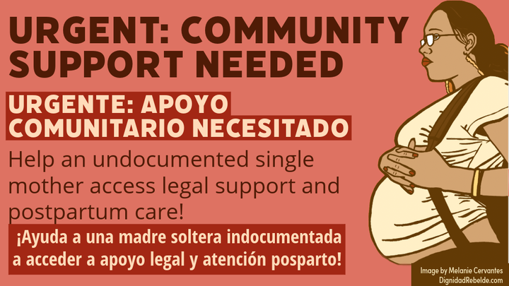 Fundraiser for Luisa Rubio by Sophia Wright : Support Luisa's Legal Fund and Postpartum Care