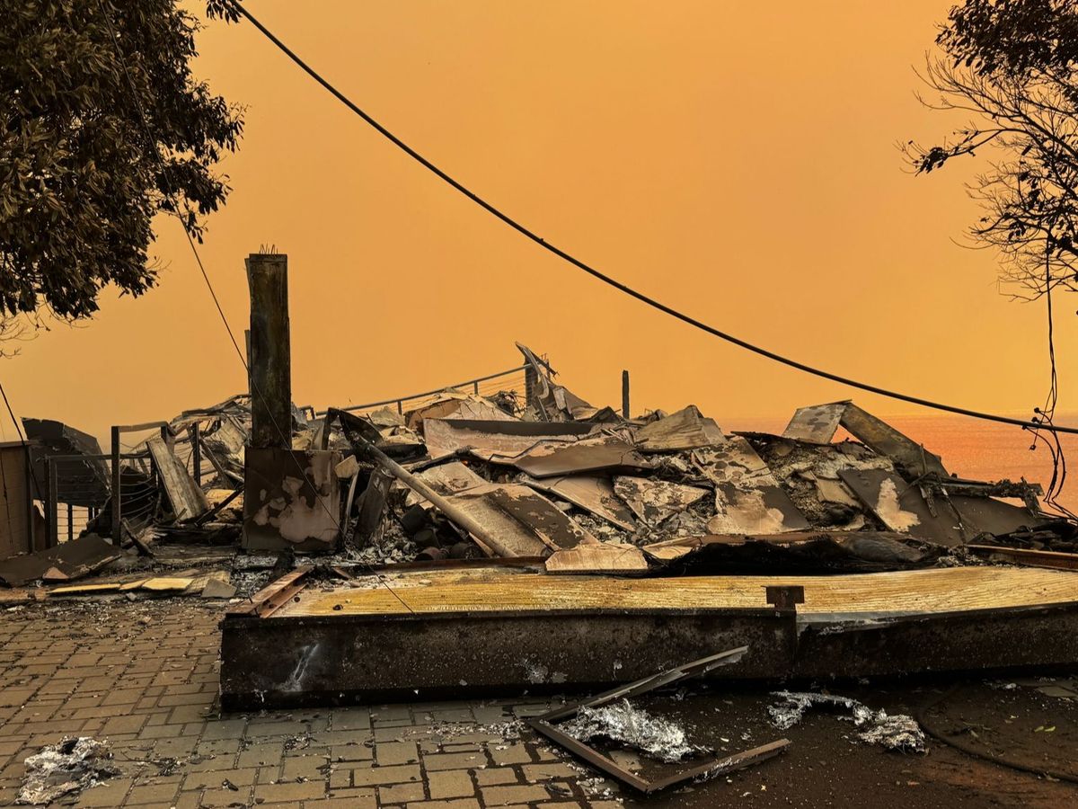 Fundraiser for Michael Plaia by Rebecca Katz : Los Angeles Fire Victims ...