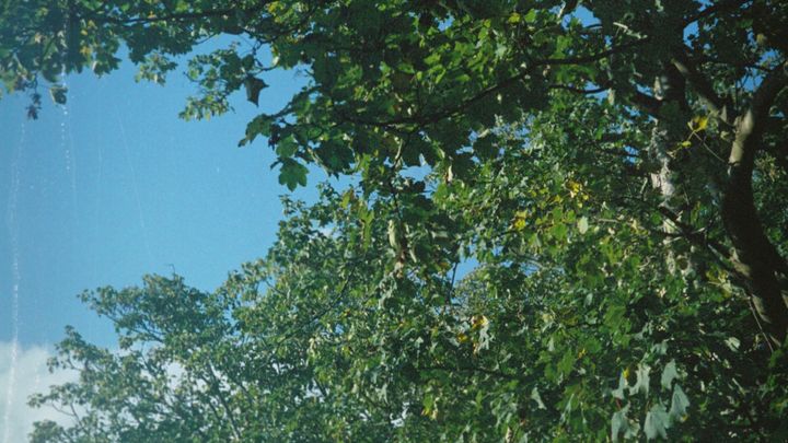 Fundraiser by Matilde Brito : final project