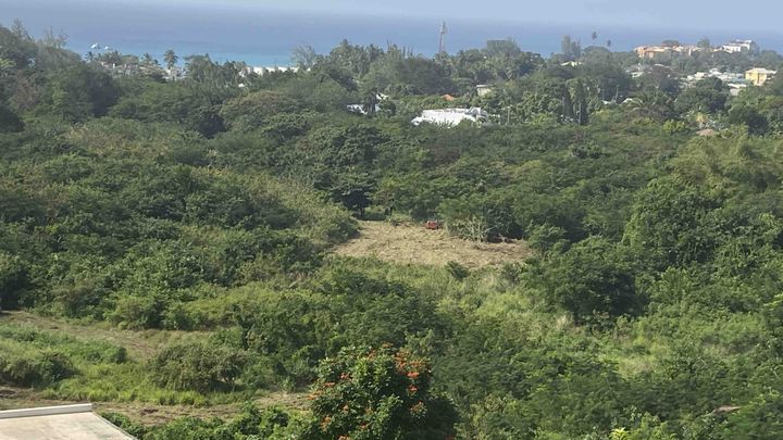 Fundraiser by Bernadette Stanton-Meijer : Protecting the environment in ...