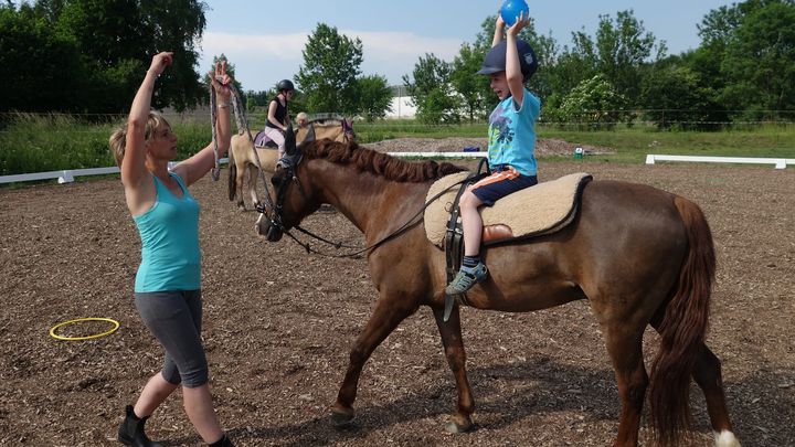 Fundraiser by Heike Grosse : Zirkuszelt für ganzjährige tiergestützte ...