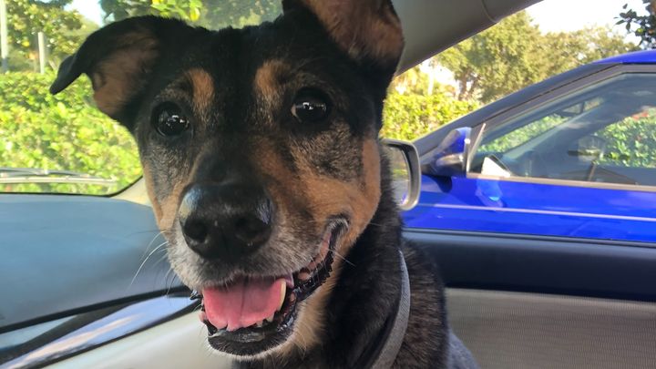 Fundraiser for Alex Wordsworth by Danielle Durocher : 15 years old ...