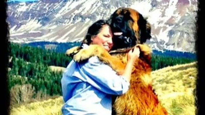 Fundraiser for Neve Savelli by Neve Savelli : Support the Savelli Family