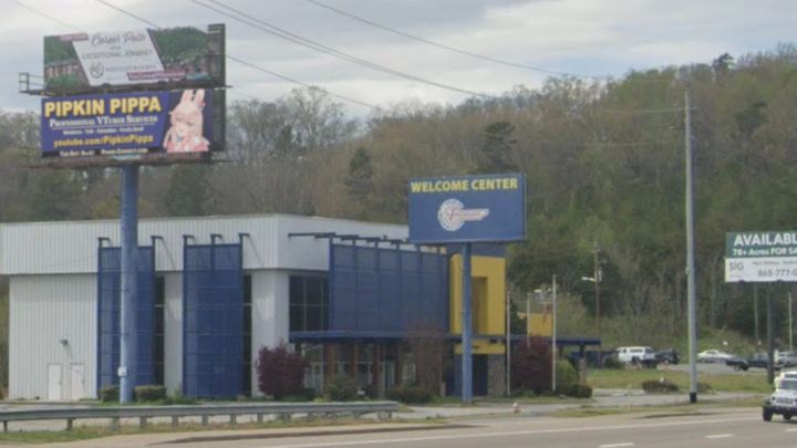 Fundraiser by Mister Yura : Pipkin Pippa Birthday Billboard Fund