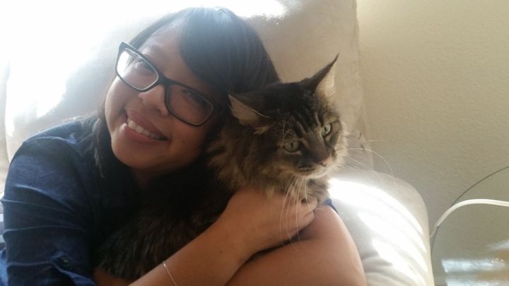 Fundraiser by Roseanna Cheng : Support for Chloe Mittens the Kitten!