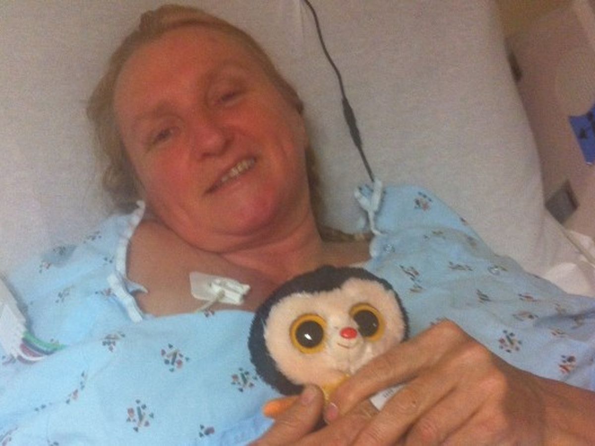 Diana Rader's Instagram, Twitter & Facebook on IDCrawl