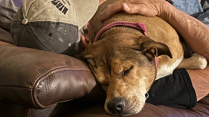 Fundraiser by Audrey Pudder : Support David Lester with Sophie's Cancer ...