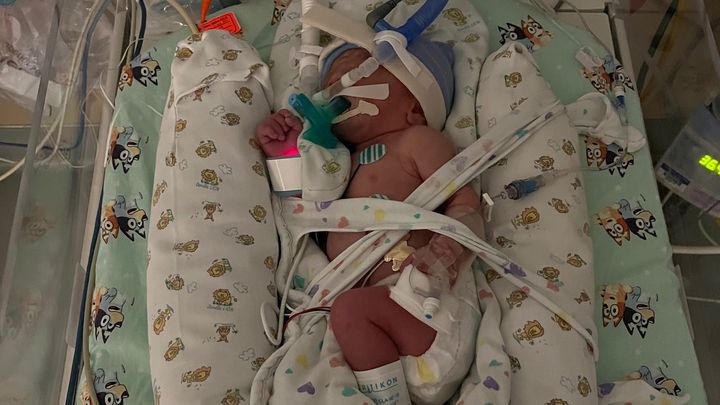 Fundraiser for Riley Dolby by Tori Kinsey : Support Riley & Keaton’s ...