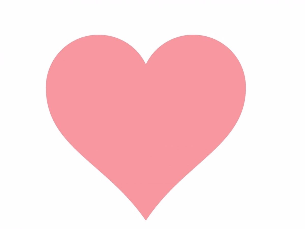 Fundraiser for Donald Carey by Chelsea Hackett : Phoebe Fund