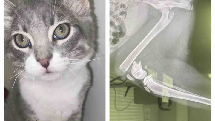 Fundraiser for Jordan Manibusan by Evelyn Manibusan : Donate to help my ...