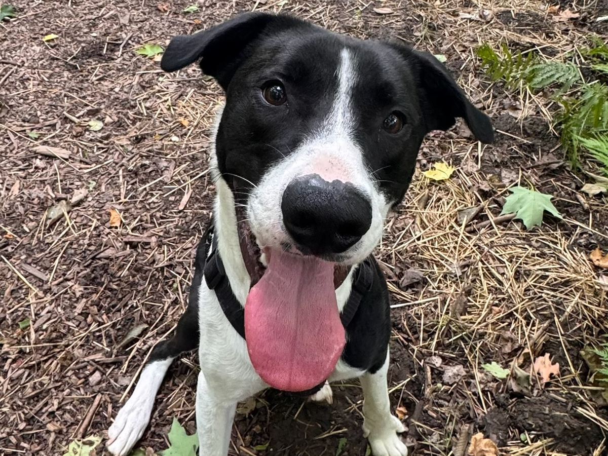 Fundraiser for Zackery Michael by Jenna Colucci : Support Murphy’s ...