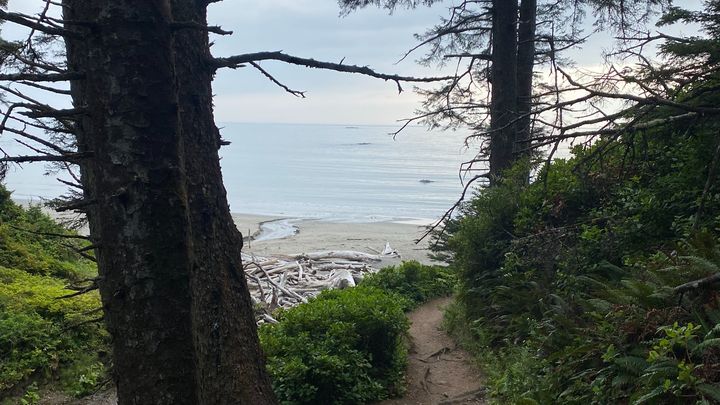 Fundraiser for Keenan Killary by Billy Skinner : Cindy Rea Kennedy