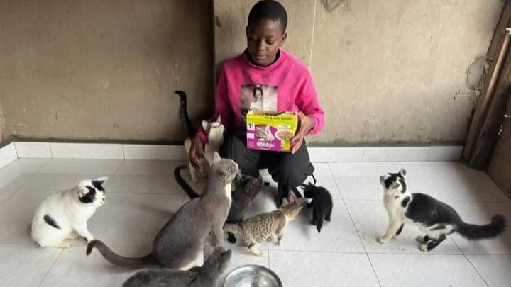 Fundraiser by Bekah Morin : Please Support the Kalavic House of Cats in ...