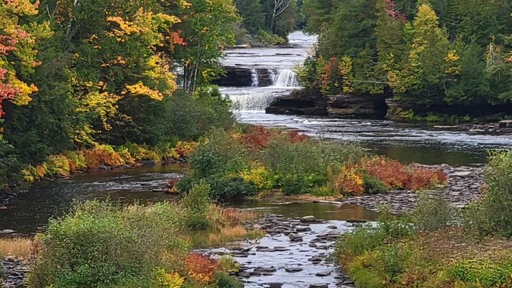 Fundraiser for Edwin Carpenter by Nancy Jones : The Carpenter's ...