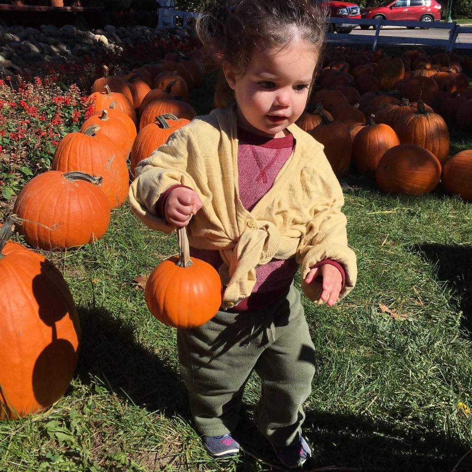 Fundraiser by Claire Vaye Watkins : Anti-Rape Banner 4 Michigan Stadium