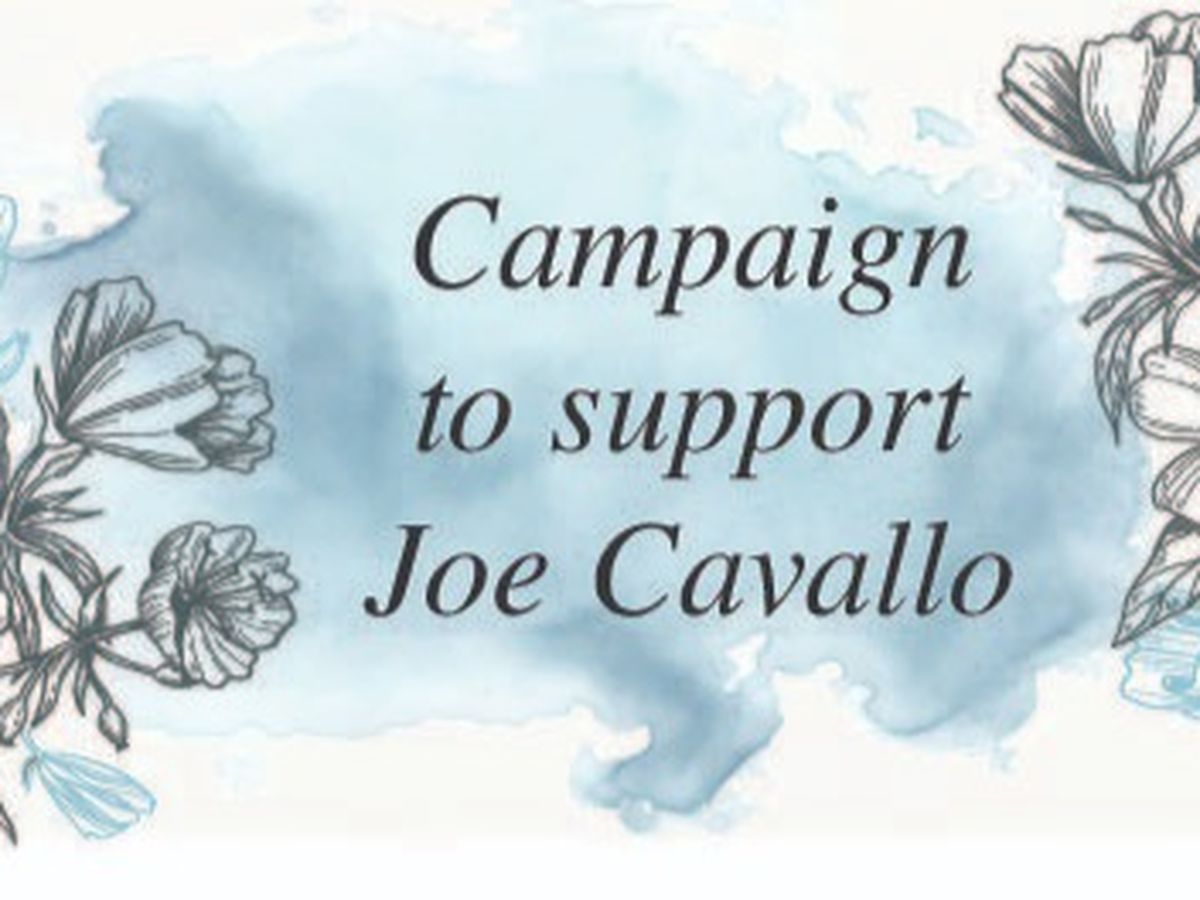 Fundraiser for Joe Cavallo by Terri Lidwell : Campaign to support Joe ...