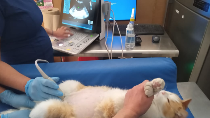 Fundraiser by Jose Andres Baquerizo : Help Cedric Fight Cancer with ...