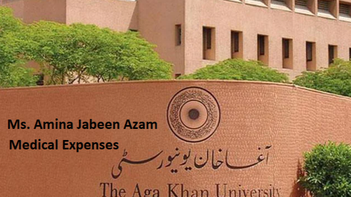 Fundraiser by Akbar Jaffer : Medical Expenses for Ms. Amina Jabeen Azam