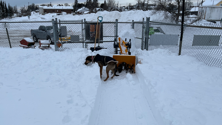 Fundraiser for Melanie Perron by Paul Charles : Timmins Volunteer Dog Park