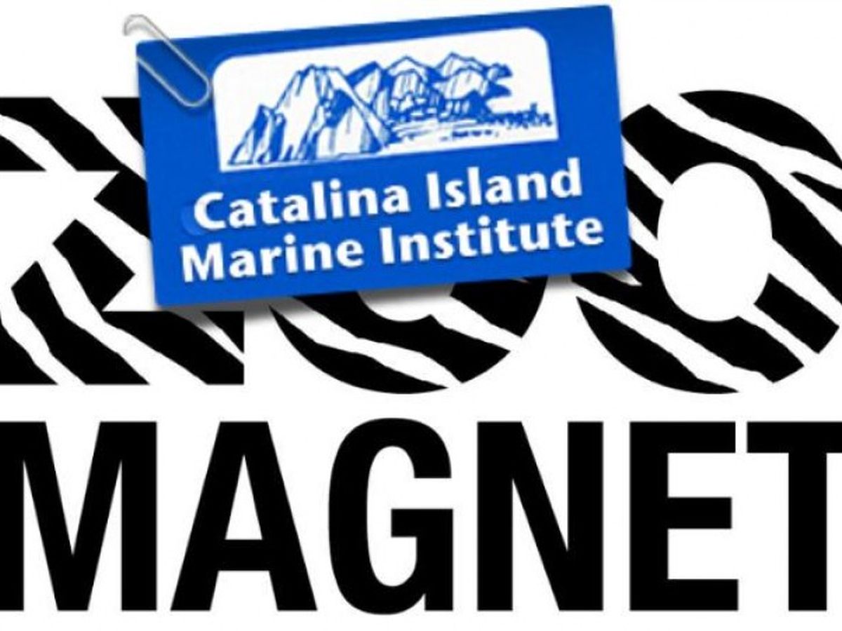 Fundraiser for Colleen Atkinson by Brie-anna Molina : Zoo Magnet ...