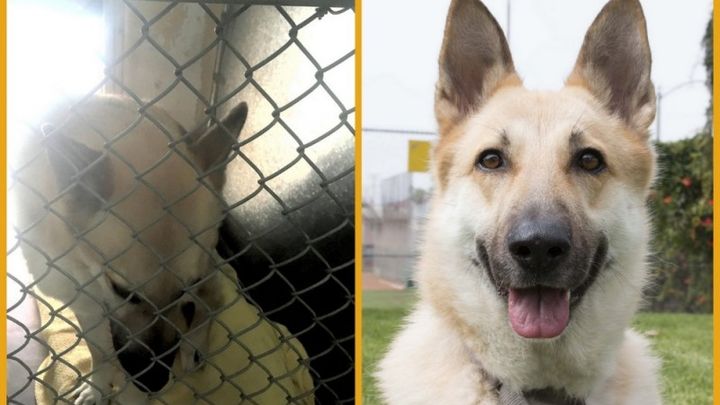 Fundraiser for Lynnie Shaw by Patti Teel : Heroic Karma Needs our Help!