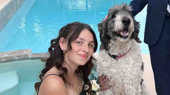 Fundraiser by Marc Geiger : Help Violet go to College