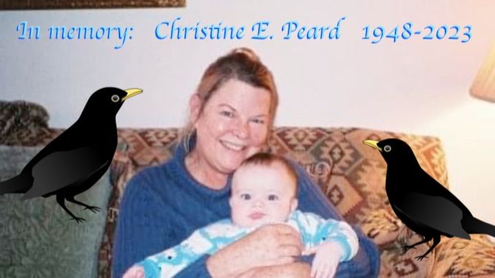 Fundraiser by Ross Peard : Christine Eloise Peard ~ Memorial Fund