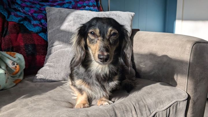 Fundraiser for Matthew Halburd by Catie Shellhammer : Support Cali's ...