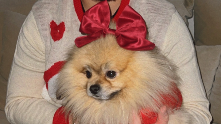 Fundraiser by Carina G : Boss Medical Bill