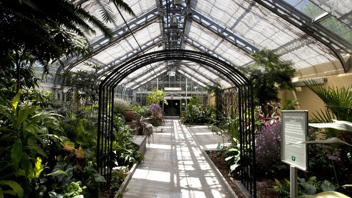 Fundraiser for Brian Lammers by Laura Lammers : Help me attend an ...