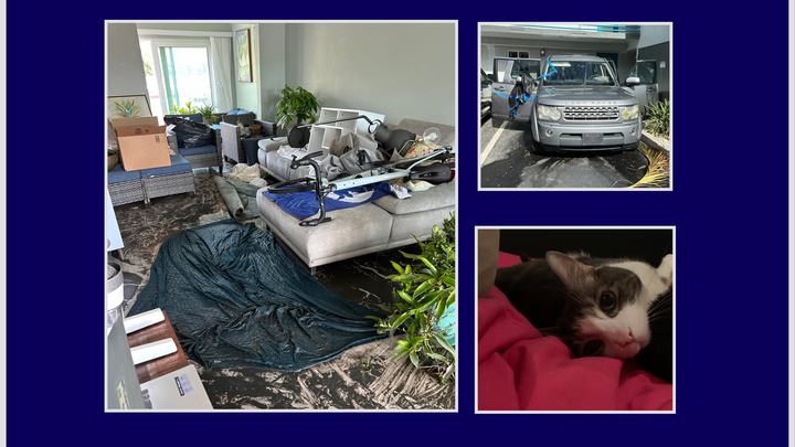 Fundraiser by Tamara Lerner : Support Tamara's Relocation and Recovery