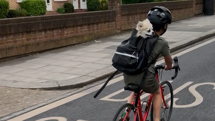 Fundraiser by Sholpan Adirbay : SRRCC minibuses