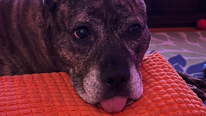 Fundraiser by Jason Topel : TOW Princess Consuela had cancer