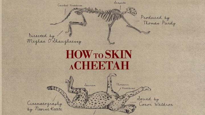 Fundraiser by Thomas Purdy : HOW TO SKIN A CHEETAH - NFS GRADUATE FILM