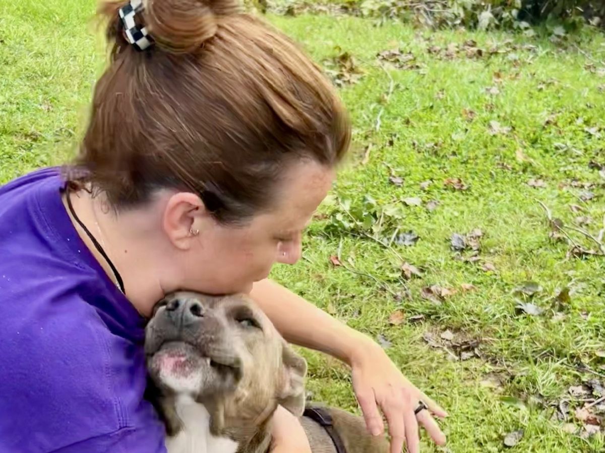 Fundraiser for Tracy Cox by Ashleigh Webb : Help Tracy Heal: ER Nurse ...