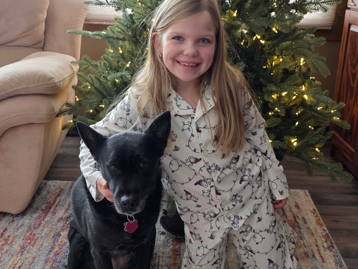 Fundraiser by Dilon Allen : In Memory of Gracie: Support for Nick and ...