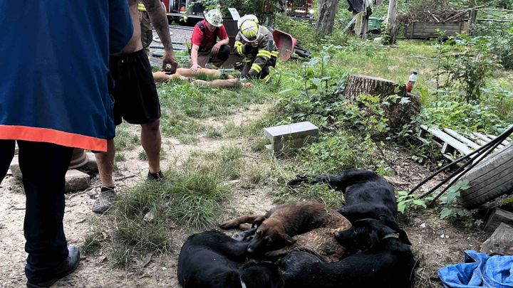 Fundraiser for Jonathan Velazquez by Morgan Anderson : Medical Bills ...